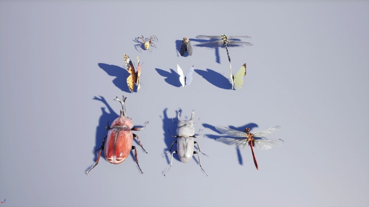 Japanese Insect Pack 4.27 VIP - Unreal
