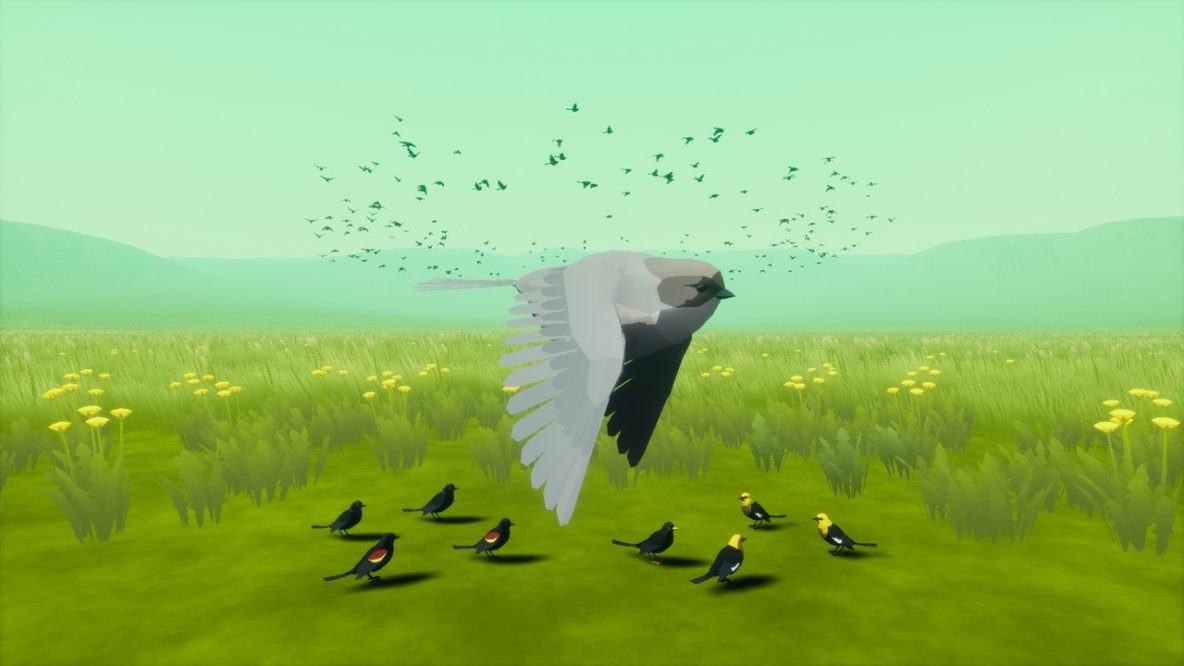 Beefy Blackbirds (Niagara Bird System) 5.4 - Unreal