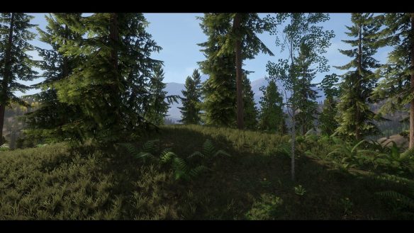 Realistic Forest Pack 5.0 VIP - Unreal